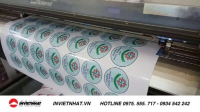 In decal trong suốt, tem nhựa trong lót trắng giá rẻ TPHCM