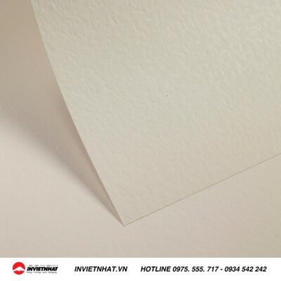 Giấy ivory là gì? Phân loại, ứng dụng giấy ivory khi in
