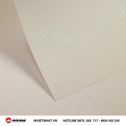 Giấy ivory là gì Ứng dụng của giấy Ivory trong việc in ấn